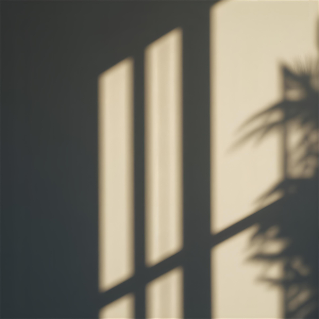 Shadow Structures: The Unofficial Systems That Actually Run Your ...